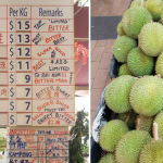 Where to buy durians: Check out this list of more than 20 durian ...
