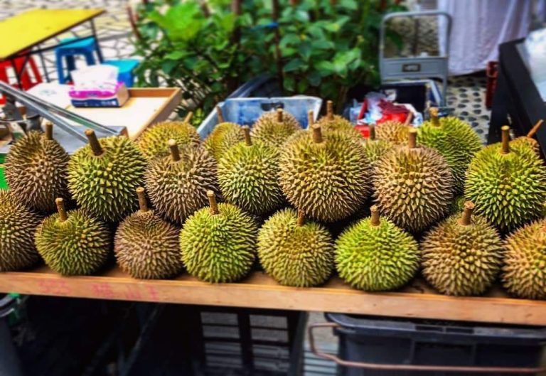 Where to get your durians: a list of over 40 durian sellers in ...