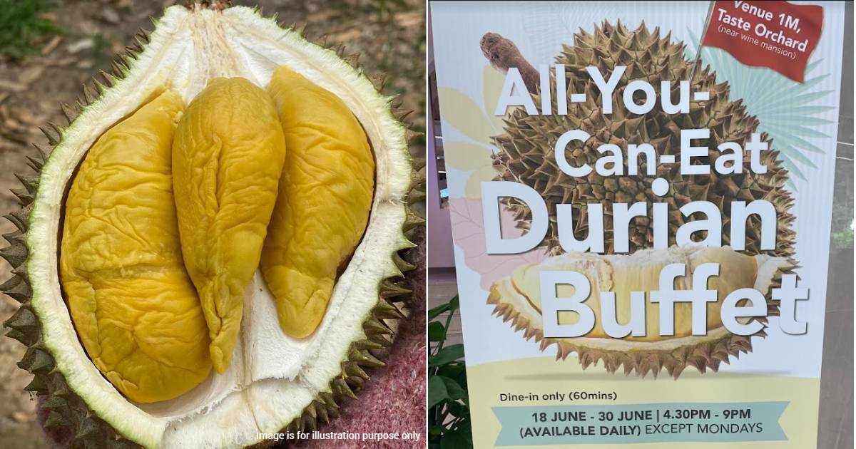 All-you-can-eat Durian Buffet from S$48 at Taste Orchard from 18 - 30 ...