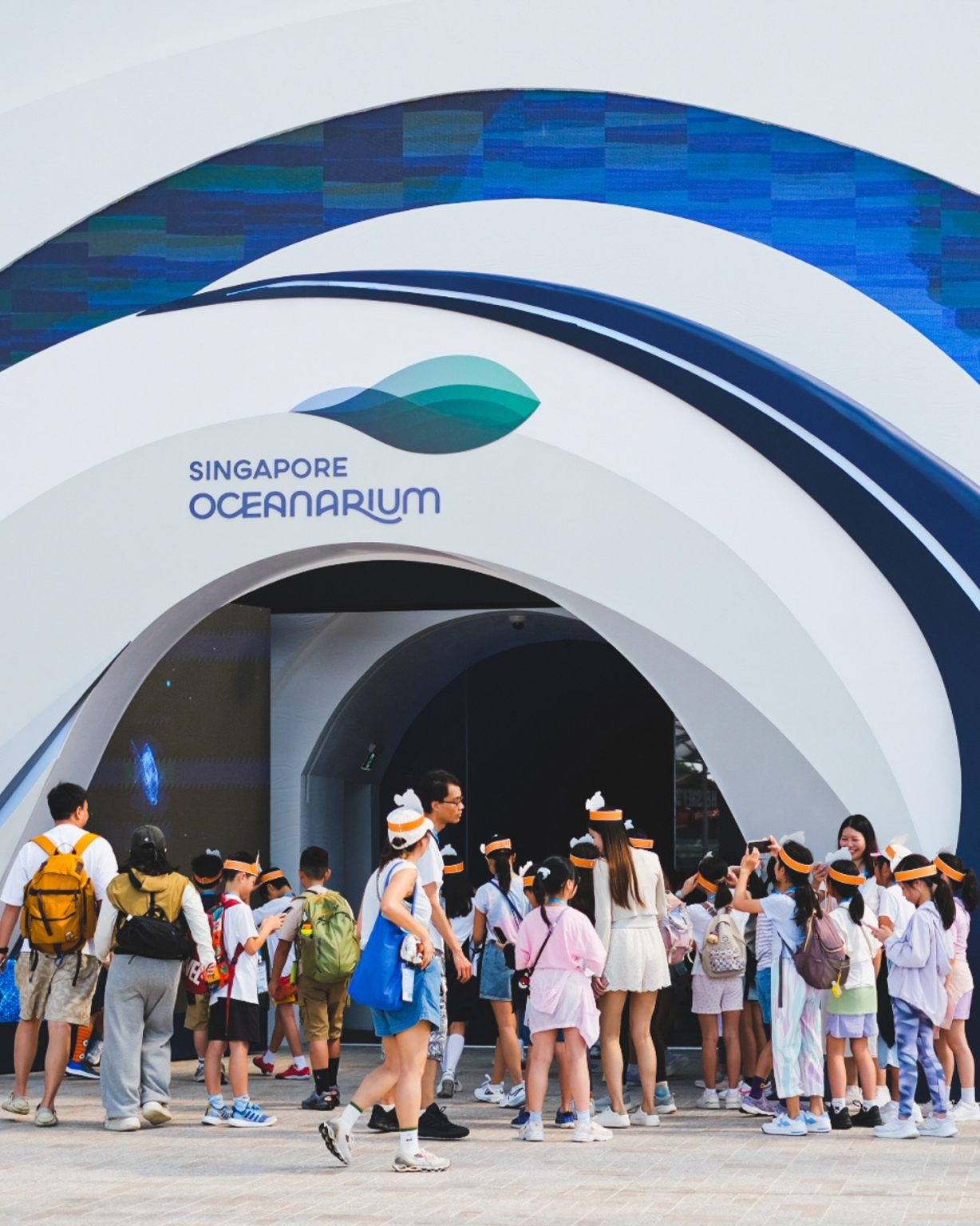 Inside SG's Next-Gen Oceanarium Experience | MoneyDigest.sg