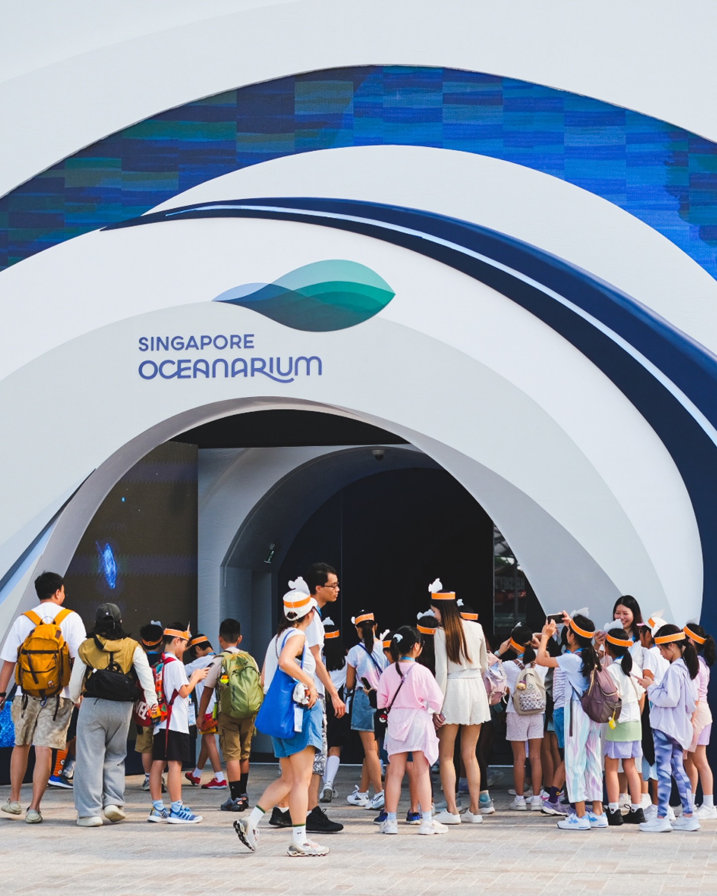 Inside SG's Next-Gen Oceanarium Experience | MoneyDigest.sg